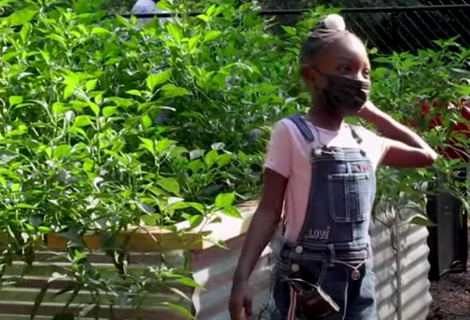 Meet Kendall Rae Johnson: Georgia’s Youngest Certified Farmer | Hayti ...